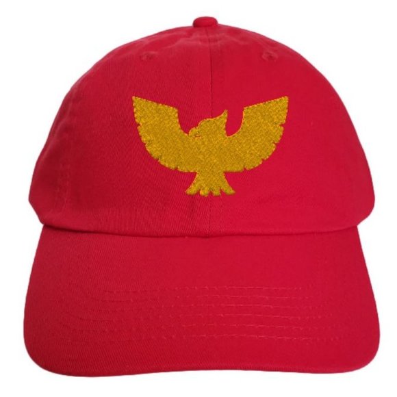 Accessories | Captain Falcon Hat | Poshmark